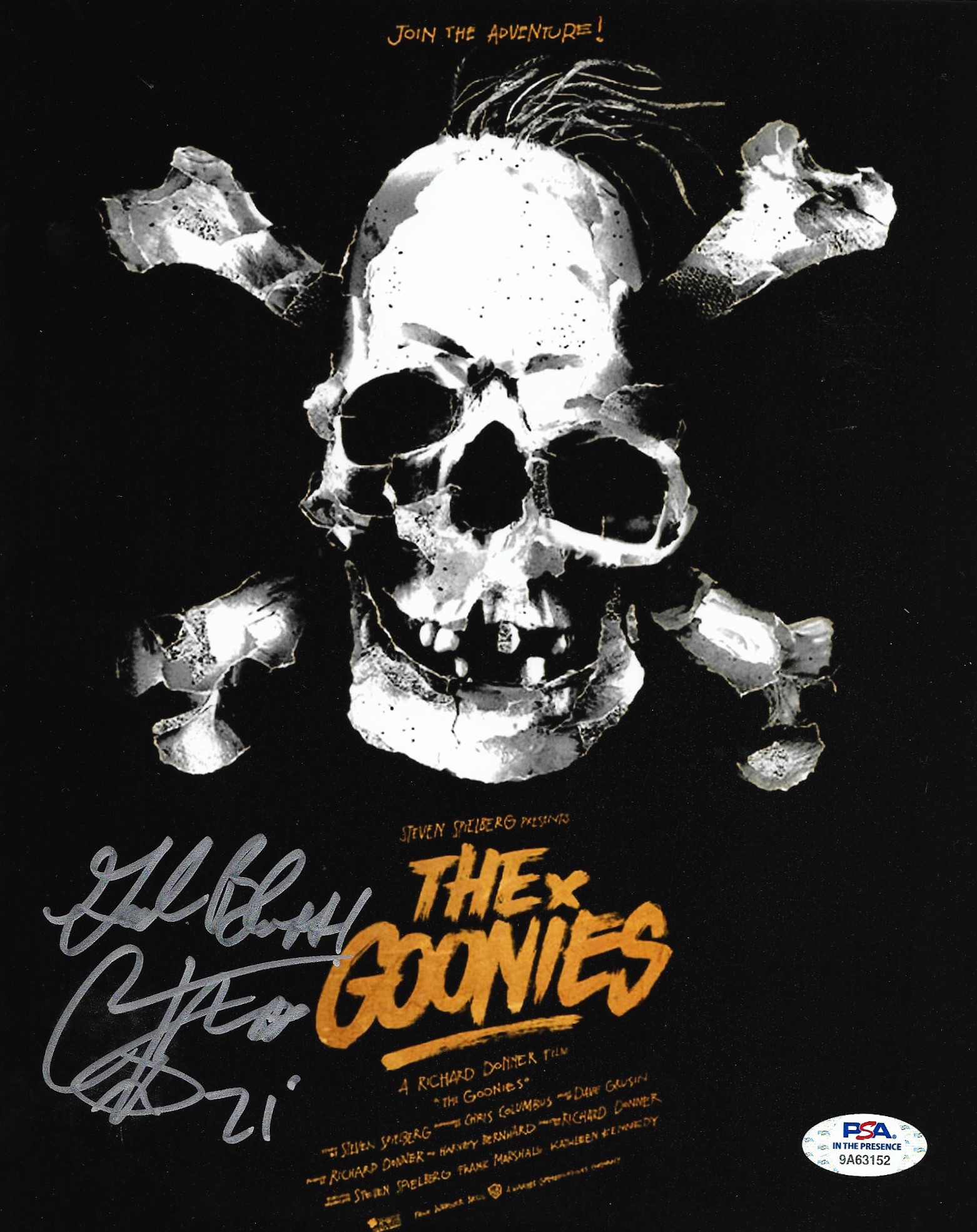 Goonies Skull Poster